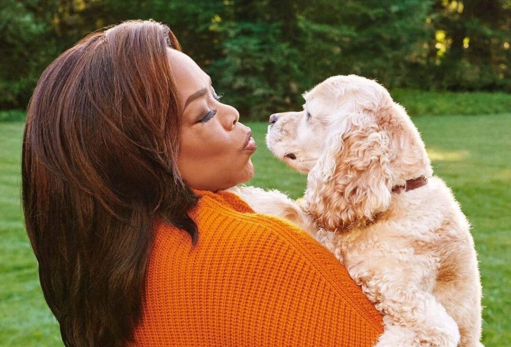 Oprah Winfrey’s Beloved Dogs To Receive a Whopping $30 Million - Weary ...
